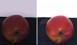 EasyColor - Allied Vision